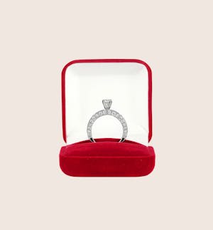 Online Flowers & Gifts Delivery in Qatar | Floward | Same-Day Flowers ...