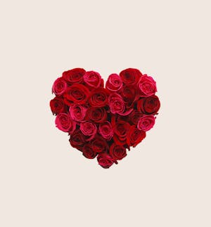 Online Flowers & Gifts Delivery in Qatar | Floward | Same-Day Flowers ...