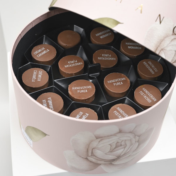 Pink & Hanoverian I | Floward Riyadh