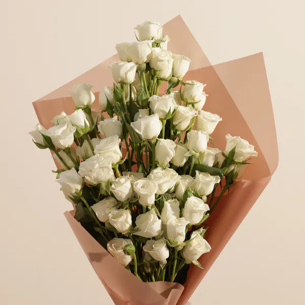 Buy and send Pure White Baby Rose Bouquet | 15 Roses gift Online in ...