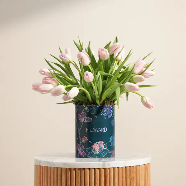 Buy and send Gentle Pink Tulip Box | 30 Flowers gift Online in Hail ...
